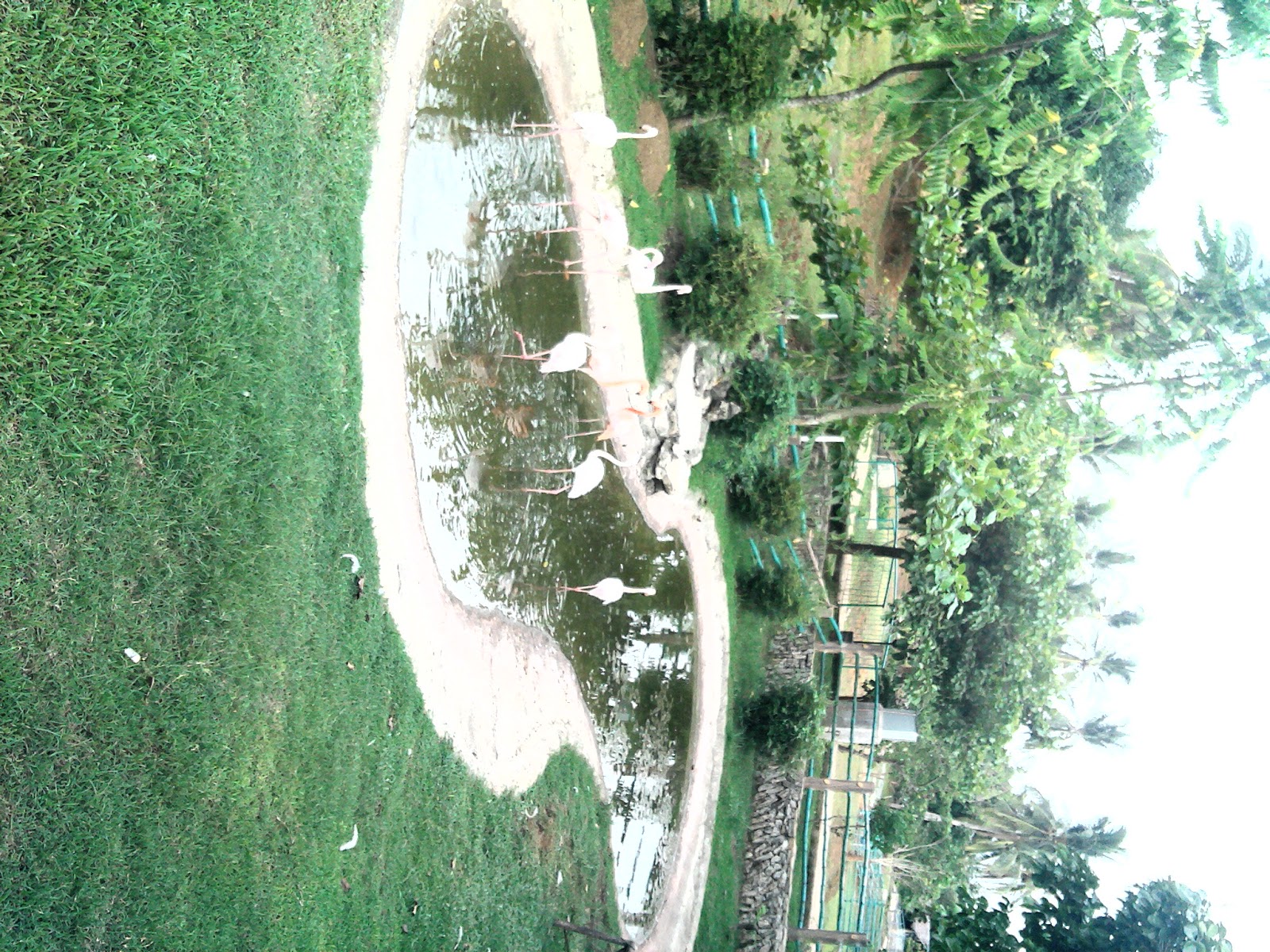 Metatraveller: Dasoland, Dasol, Pangasinan, Philippines