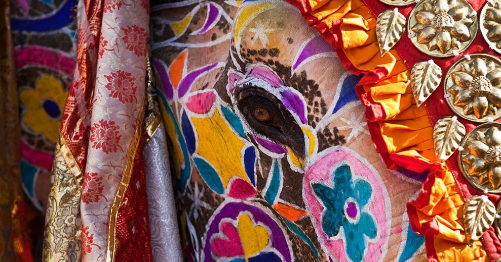 Enchanted Revelries: The Painted Elephants of Jaipur