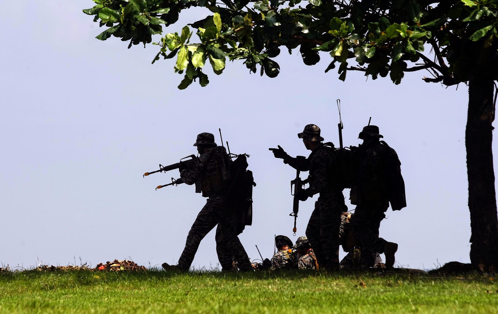 Alive, The Journey!: The Navy Seal Team (NAVSOG)