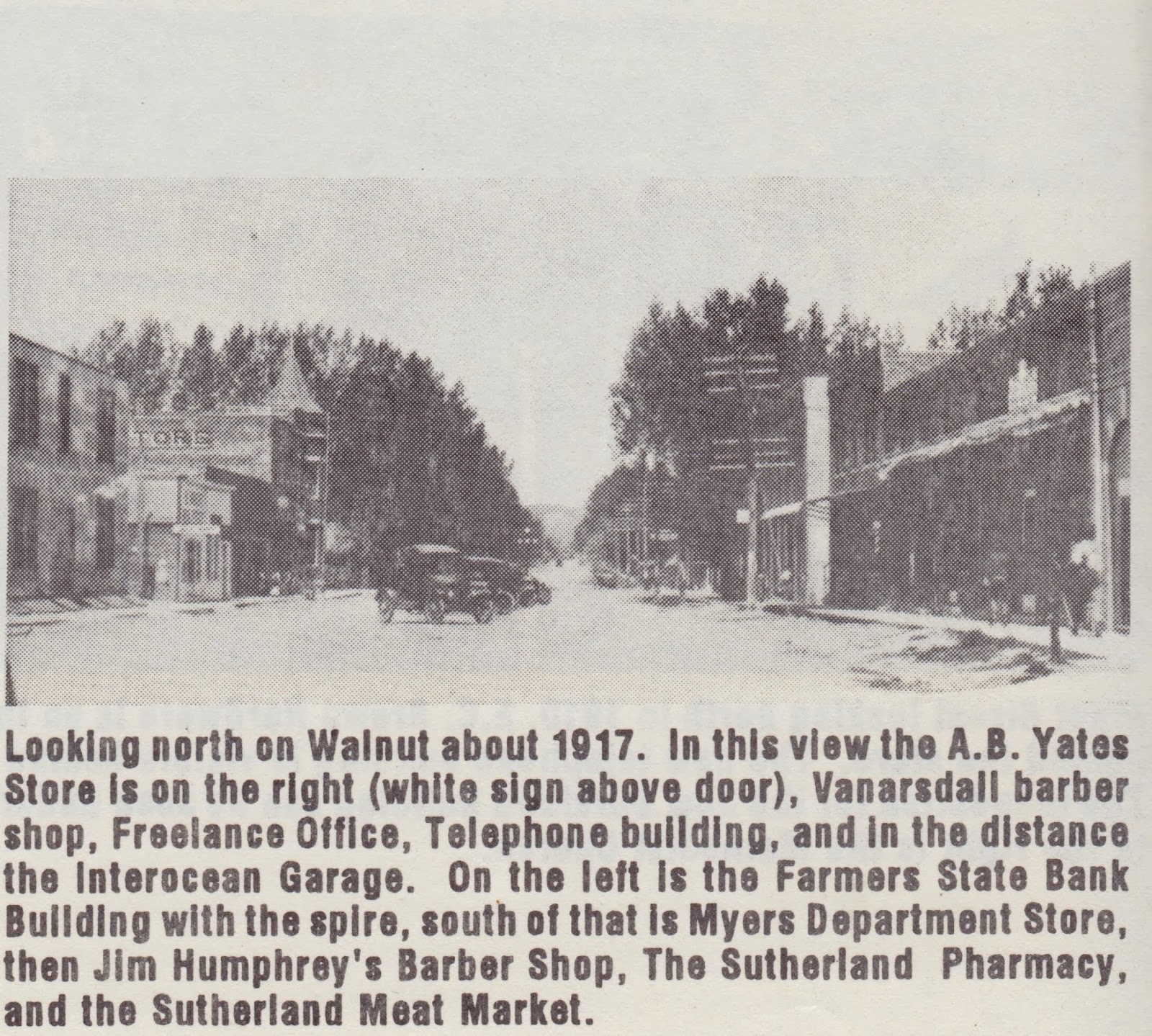 Sunday Stories: Timeline 1899 - 1919