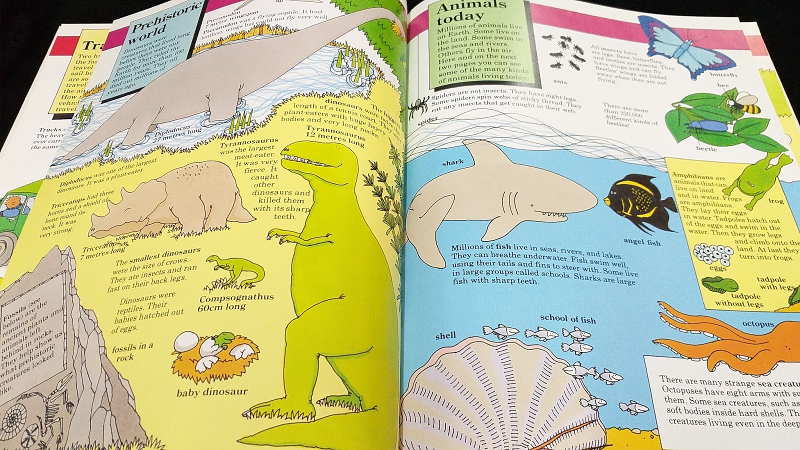 Kid Books Blog: 60.My First Encyclopedia