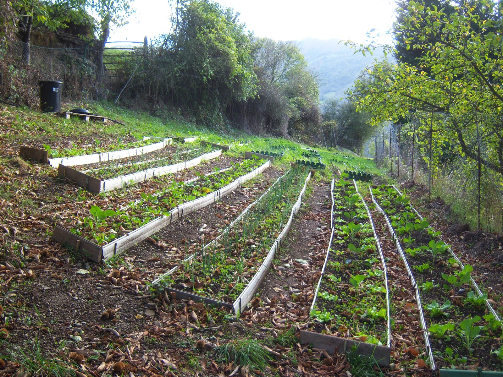 De 30º a 3º en menos de 7 días