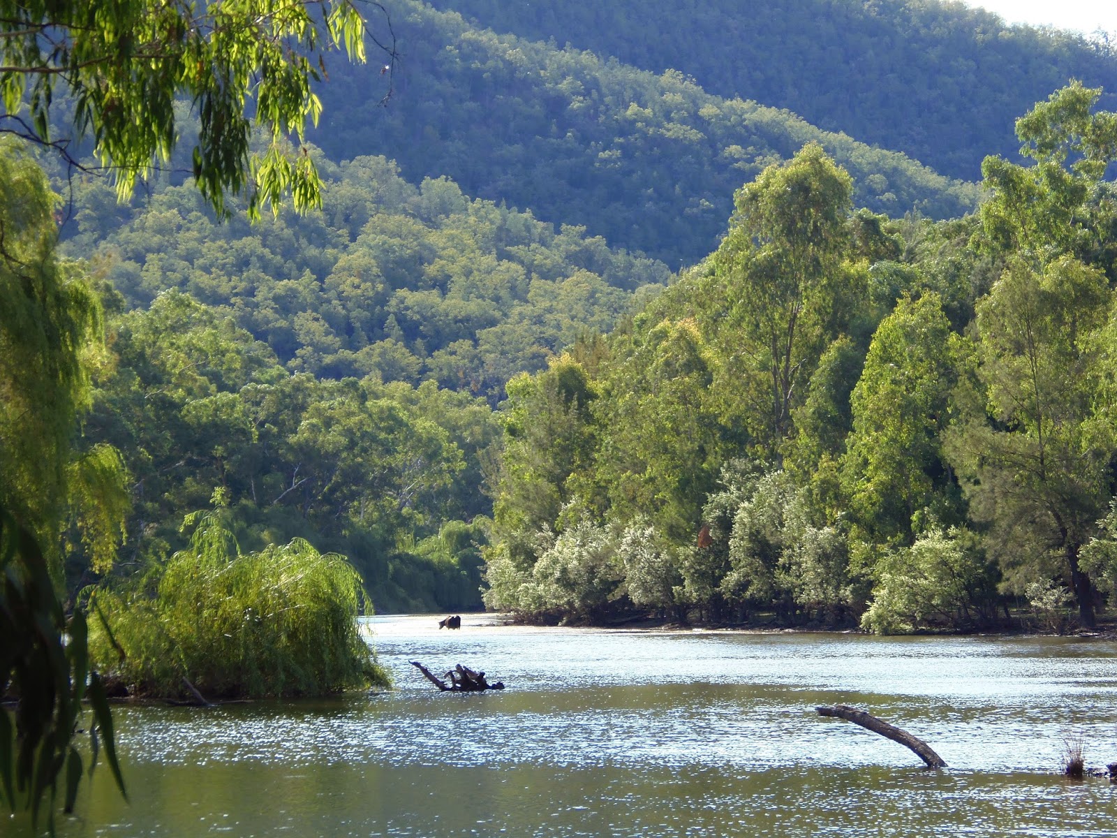 Solo Steve On The Road: BEAUTIFUL BINGARA NSW - REVISITED