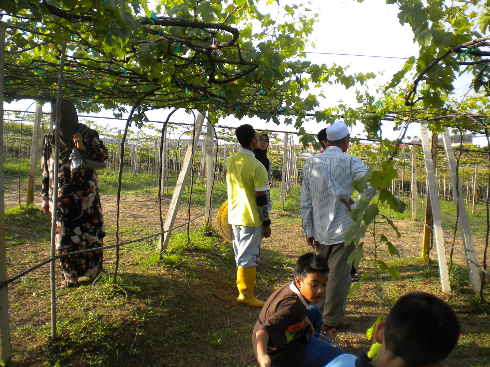 TRAVELOG: Sepetang di Ladang Anggur Sendayan, Negeri Sembilan