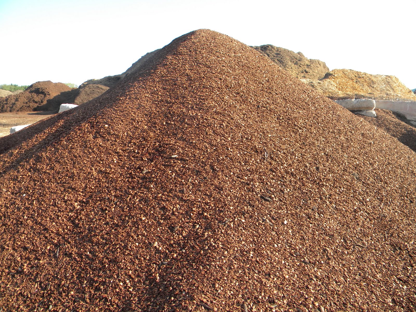 SUST 5304 Summer II - JRyan: Living Earth Technology Company - Dallas, TX