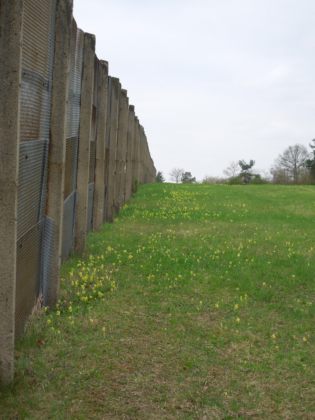 Our European Adventure: Visit to Observation Point Alpha