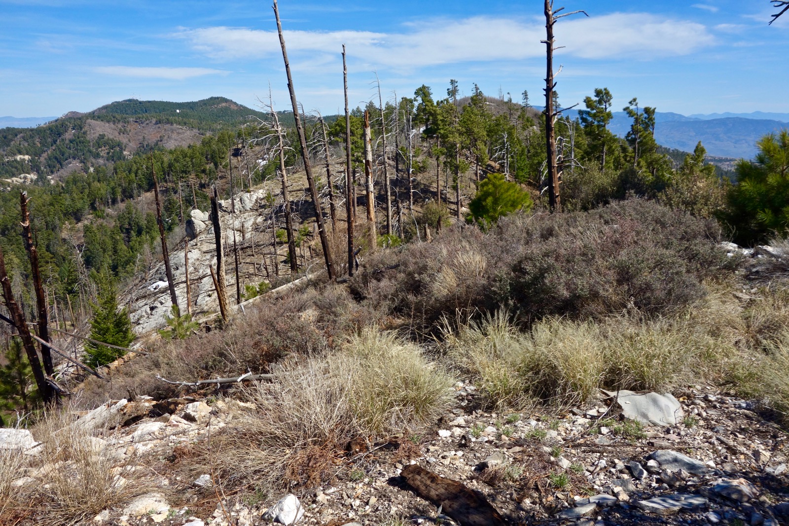 Earthline: The American West: Lemmon Pools and Marshall Peak, Northwest ...