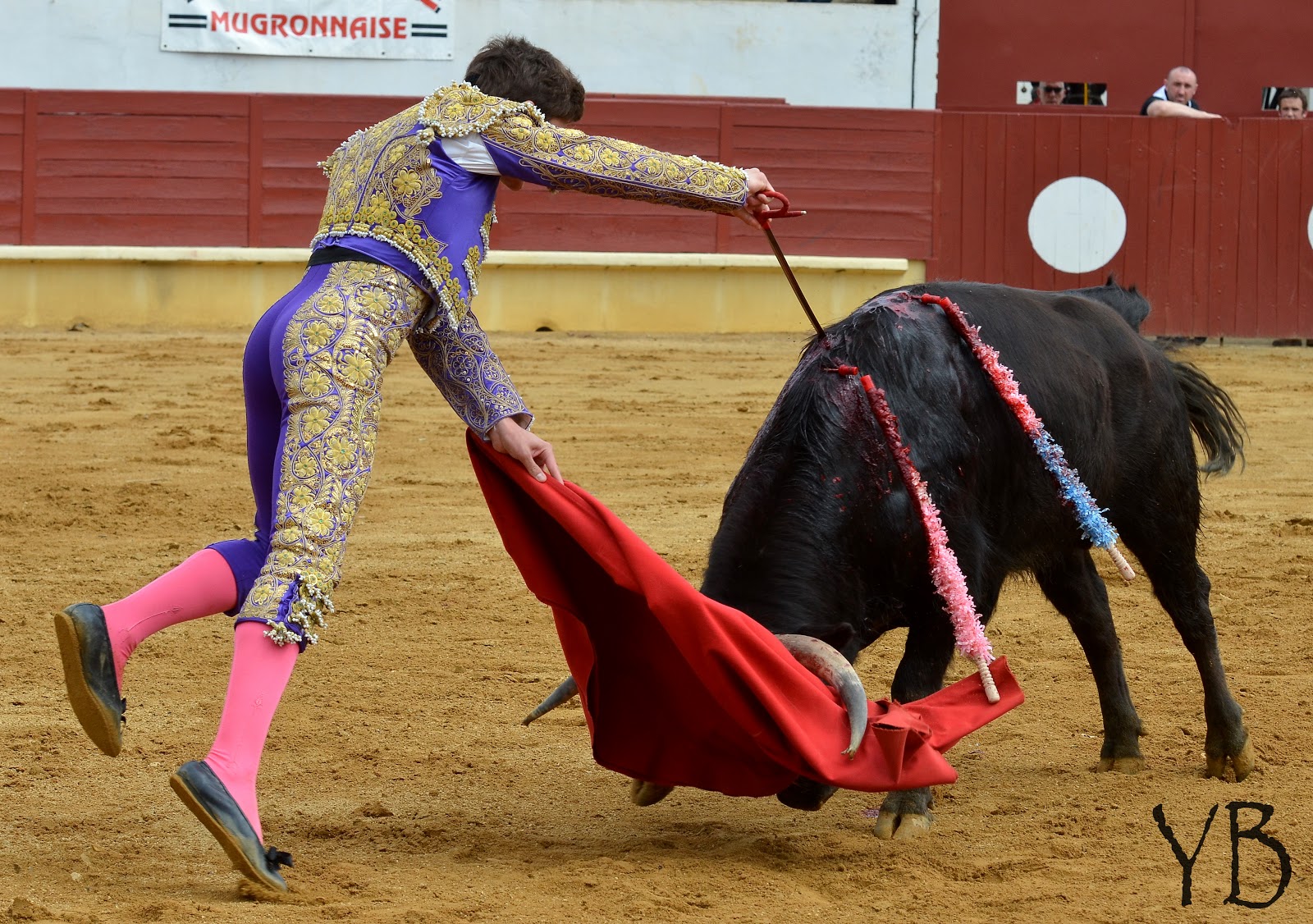 Bienvenue sur Yann BRIDONNEAU photographies.: NOVILLADA DE MALABAT A ...