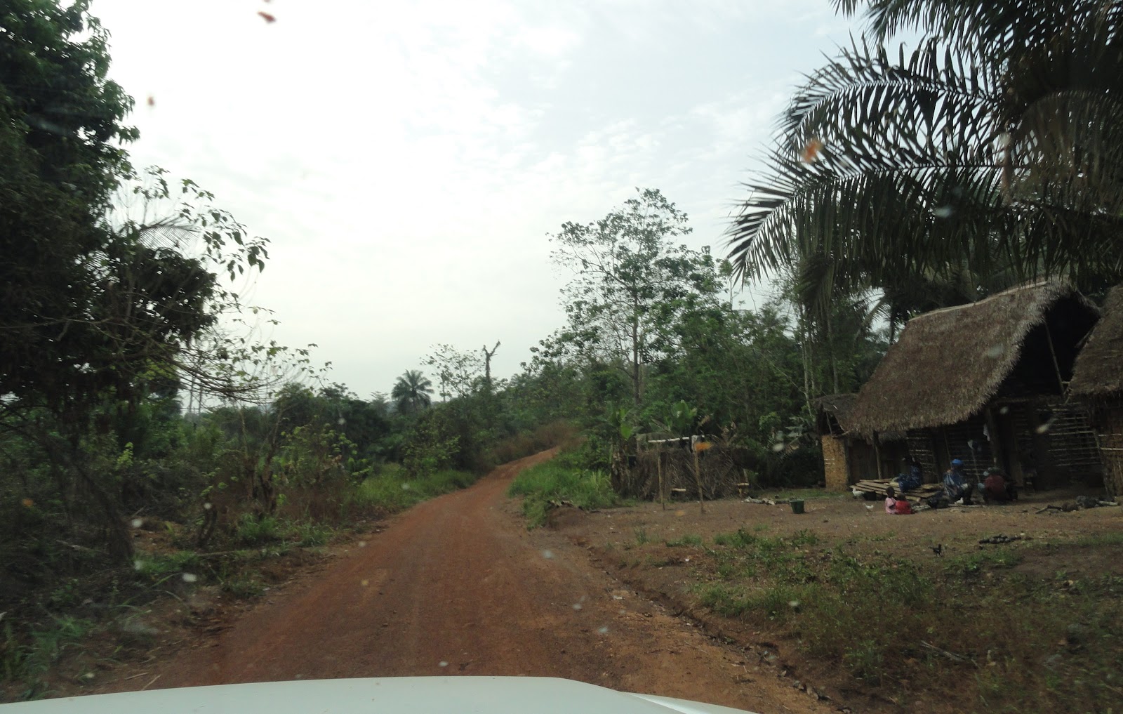 Sierra Leone Freetown Mission Blog: To Bo and our Liberia Visit last week!