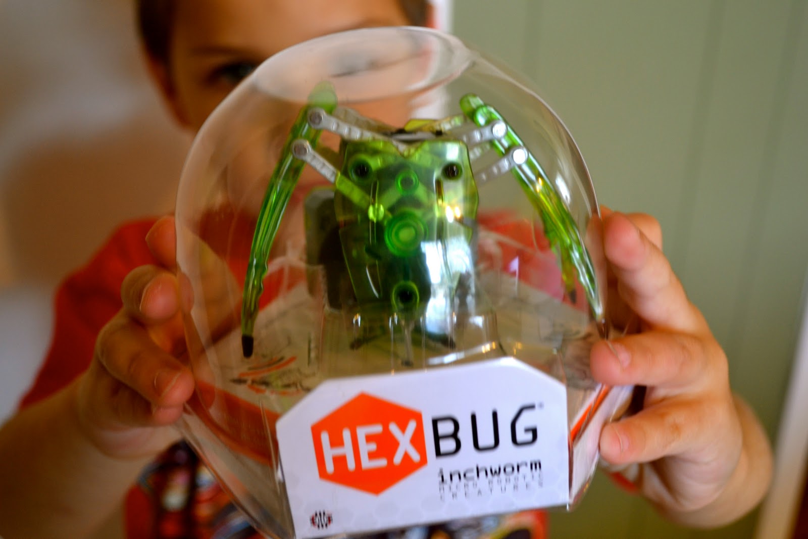 We LOVE Hexbugs!!! You can have one too!!! *GIVEAWAY* - Mama Luvs Books