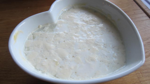 Dalmatian Mom: Hemmagjord filbunke