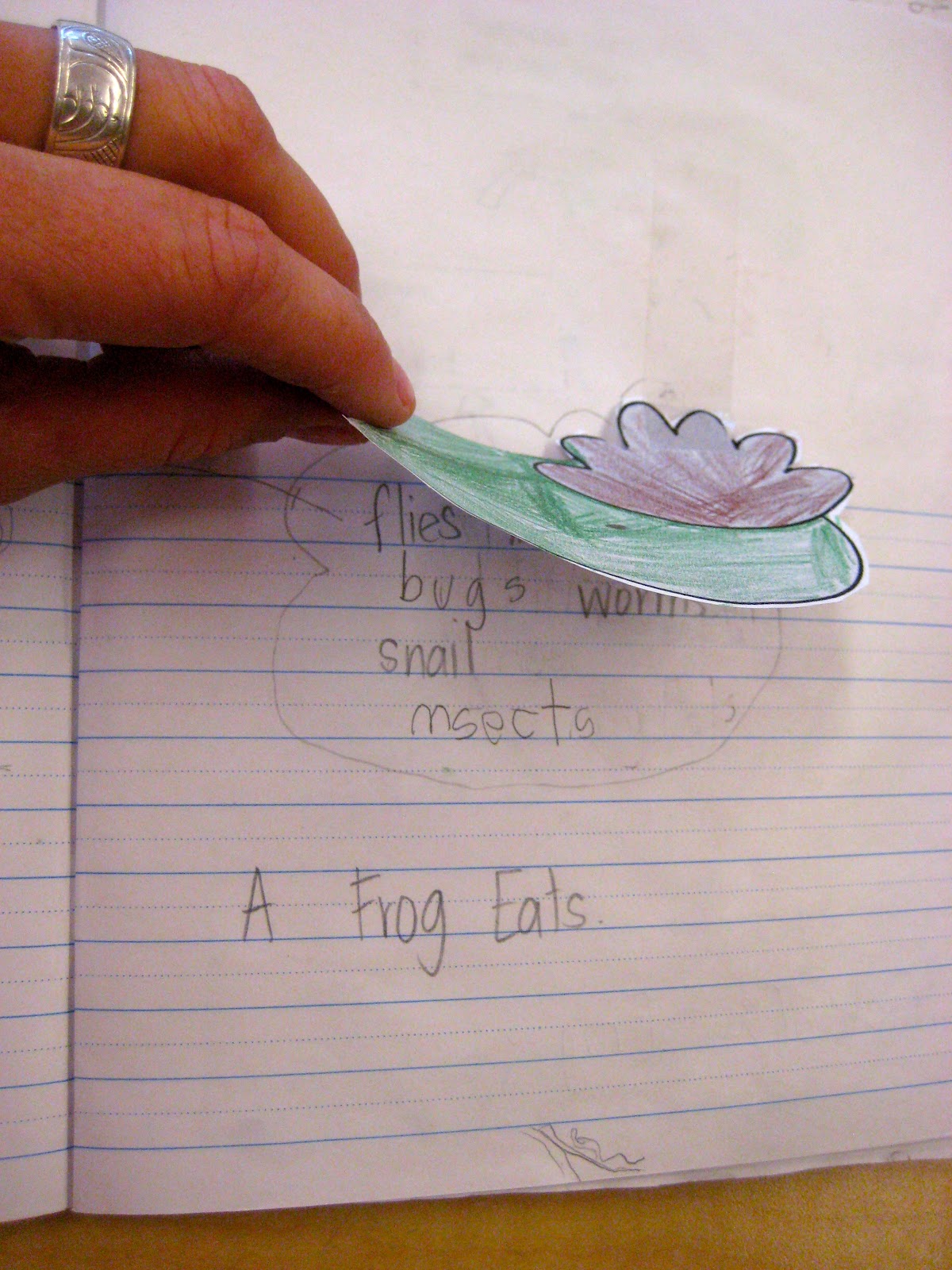 Ms. Liebel's Classroom: Science Journal - Frog Unit