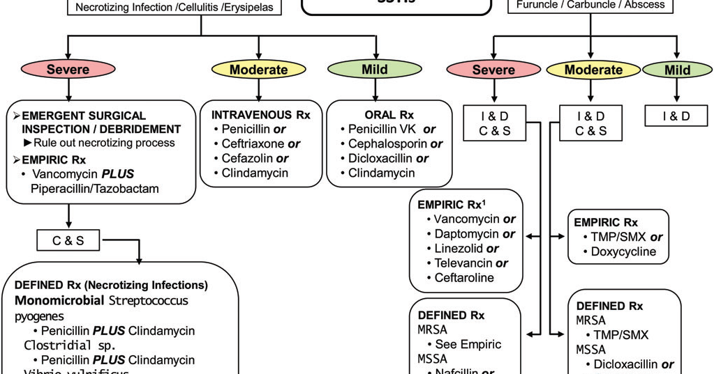 ASK DIS: Management of Skin and Soft Tissue Infections