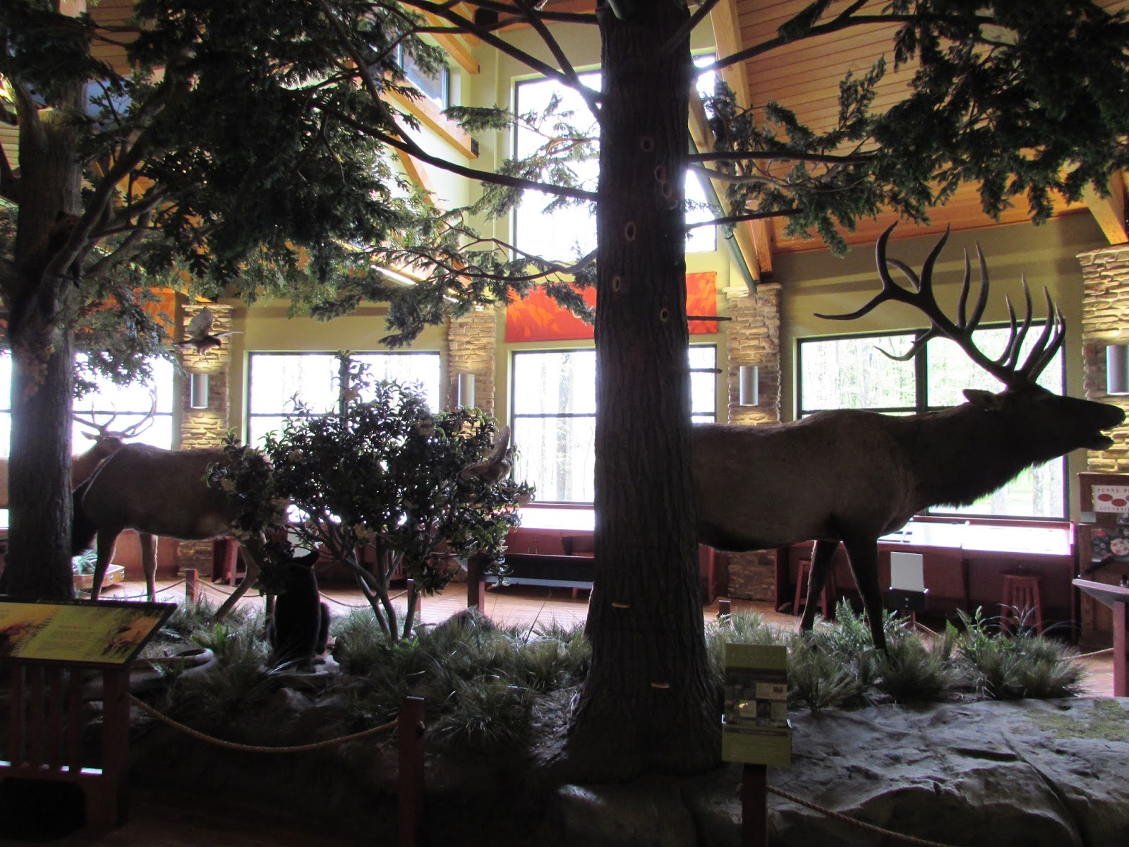 Learning about PA's Elk Herd at the Elk Country Visitor Center ...