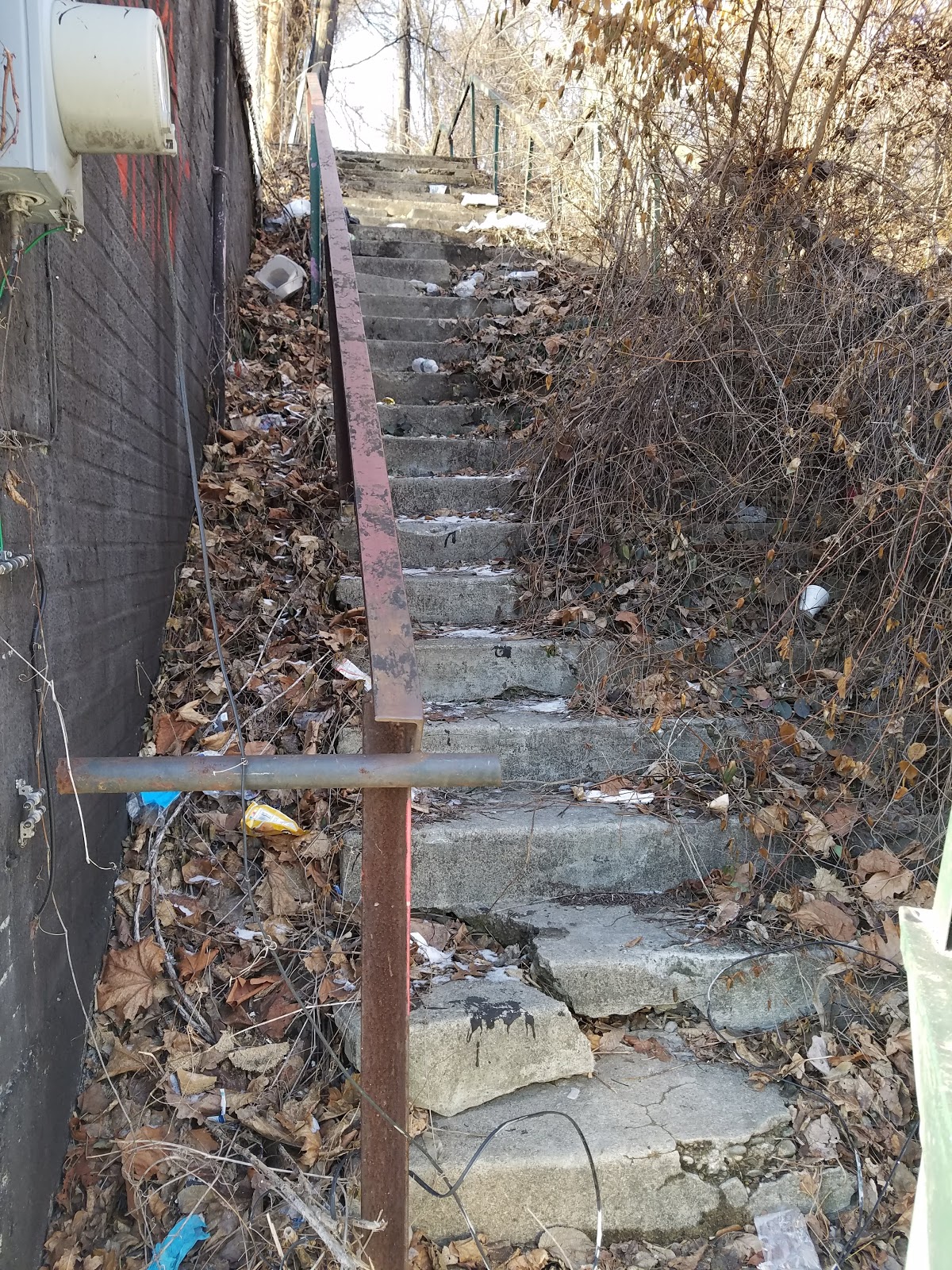 Pittsburgh Pilgrimage: Hiking The City Steps