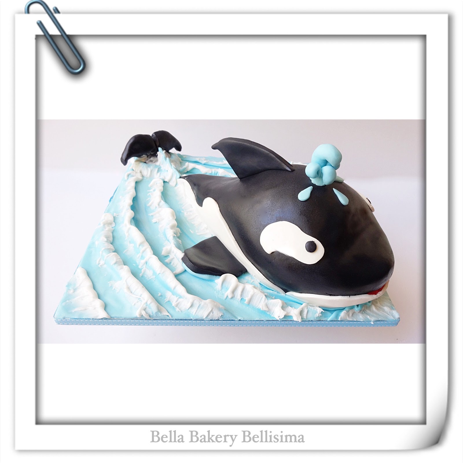 Orca Cake Ideas at Chung Shah blog