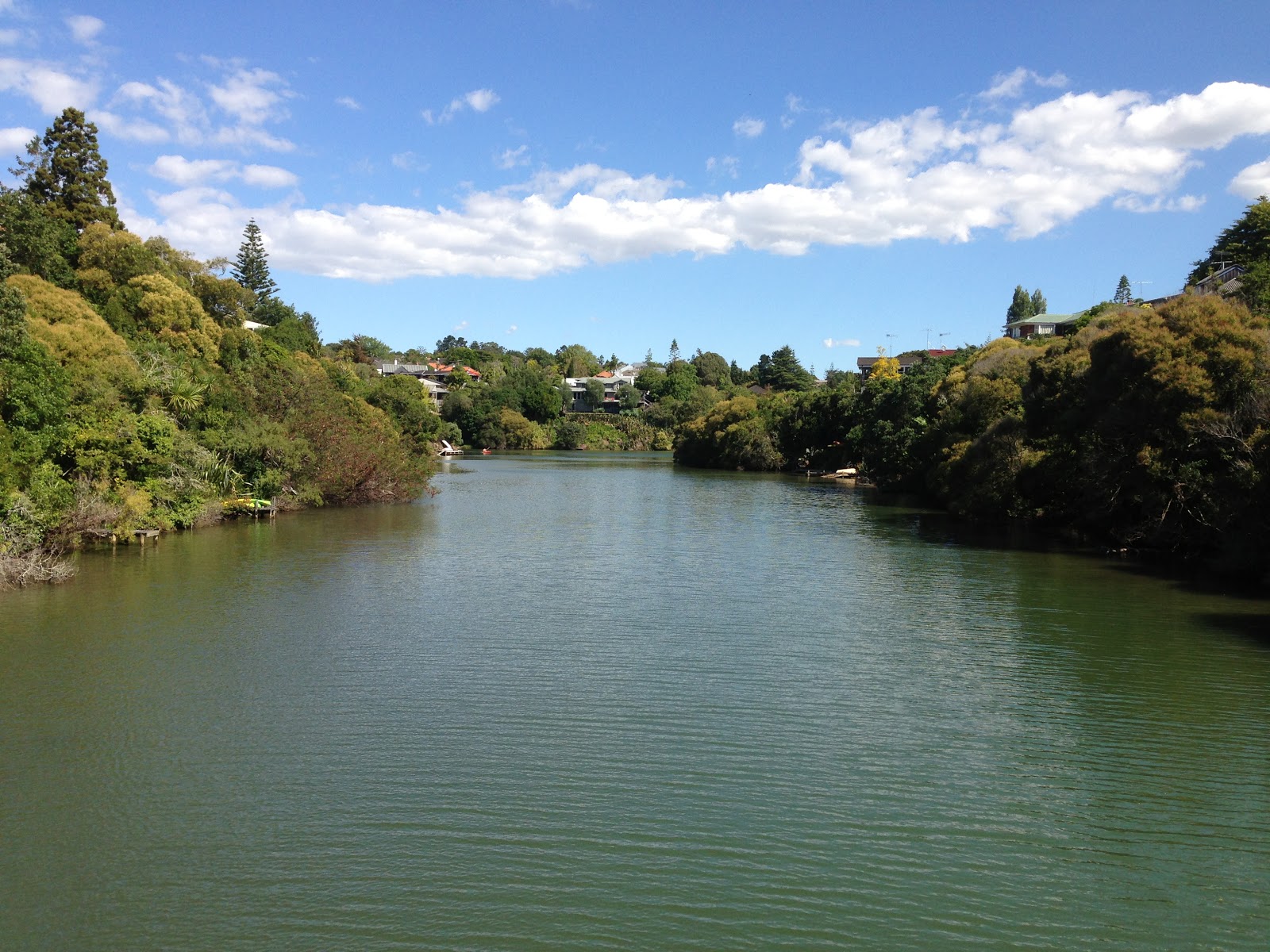 Come, walk with me.: Orakei Basin Walkway