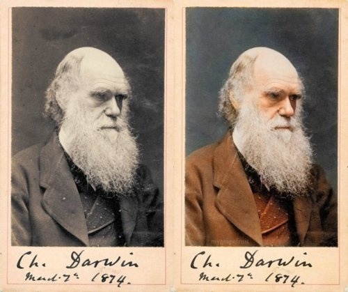 Crooked Beak Workshop: 09/12