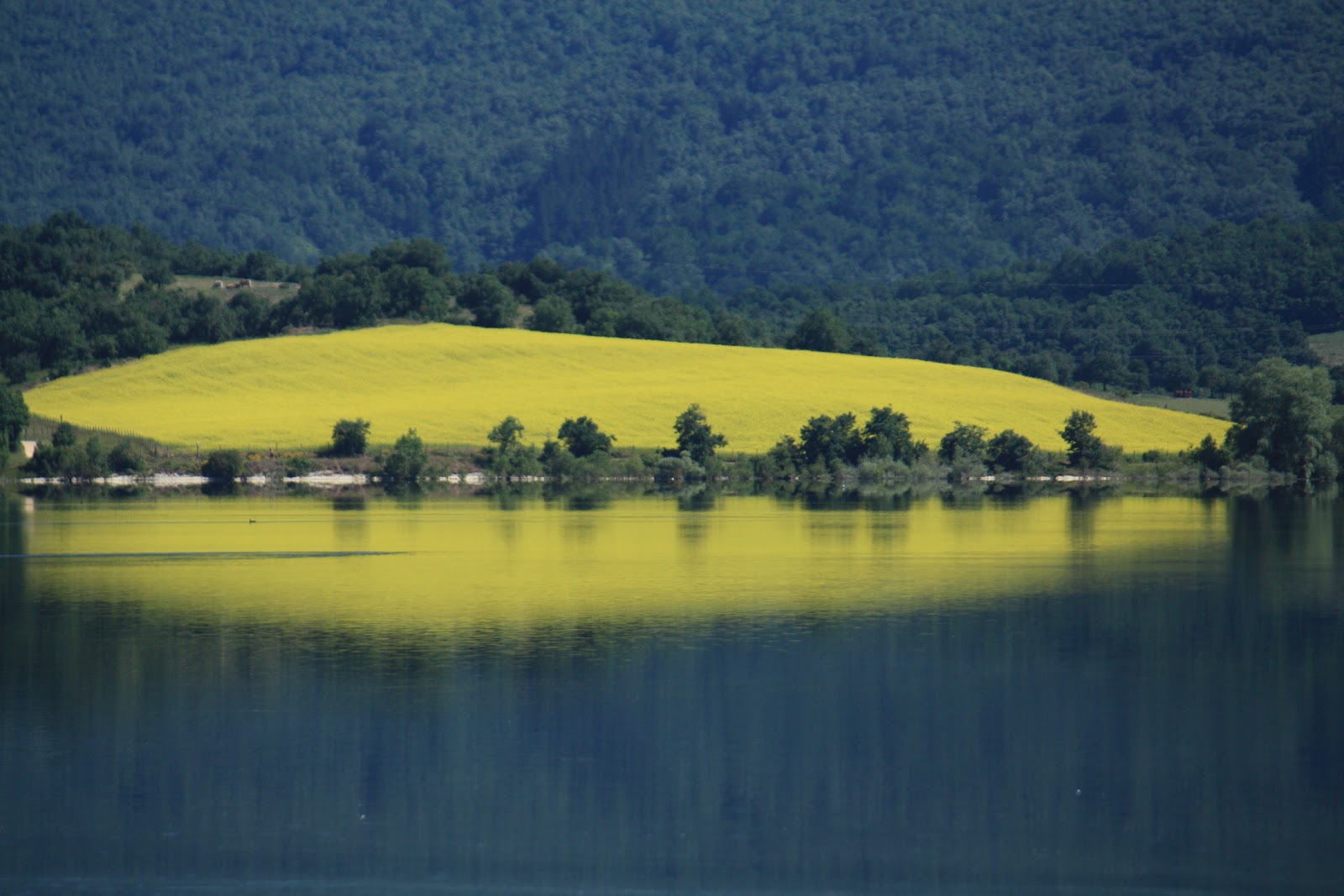 Atzegi Mendian: Albergue de Barria (Araba). 22, 23 y 24 junio 2018 ...