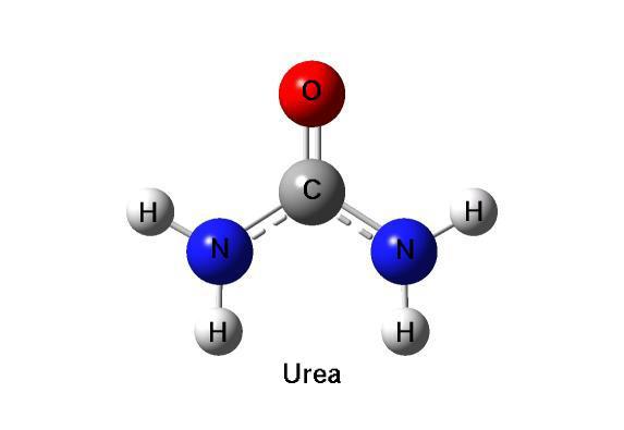 MedLab Love: Urea y BUN: ¿Pruebas diferentes?