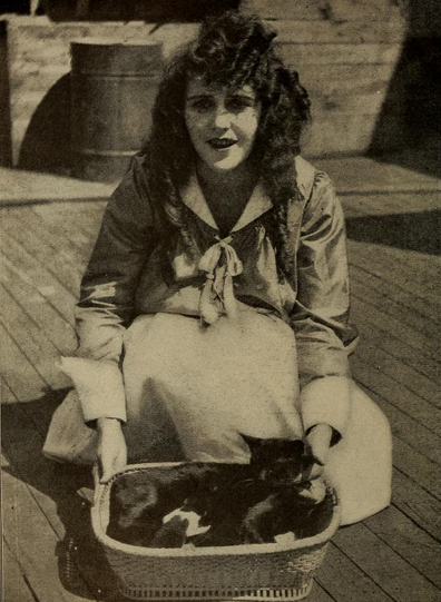 ImagineMDD: Black Cats Bring Stars Good Luck