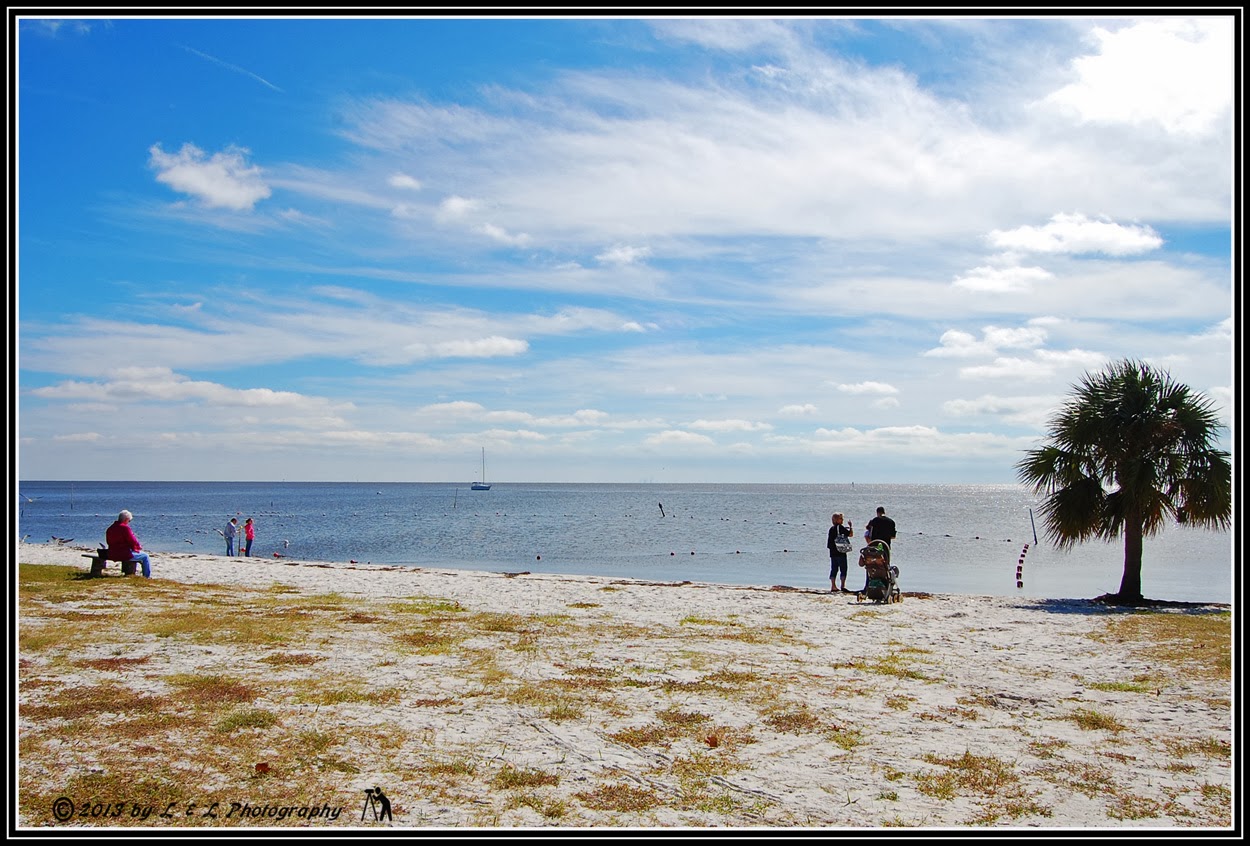 Cedar Key (Florida) Photos: On the beach at Cedar Key