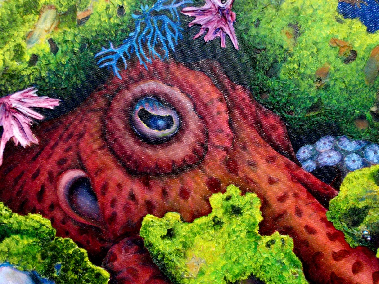 Tim Marsh Nature Artist