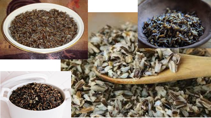 American Wild Rice: Plant_flower_seed_grain_food_from wild rice