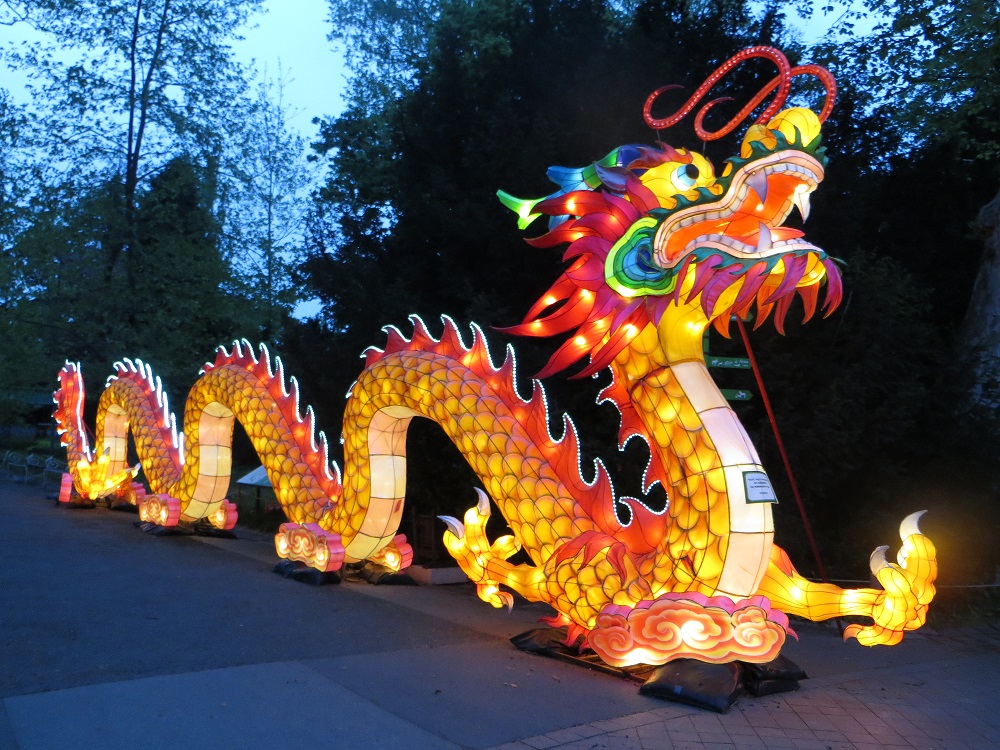 Jurnal de Calatorii: "Chinese magic lights " in gradina zoologica din ...