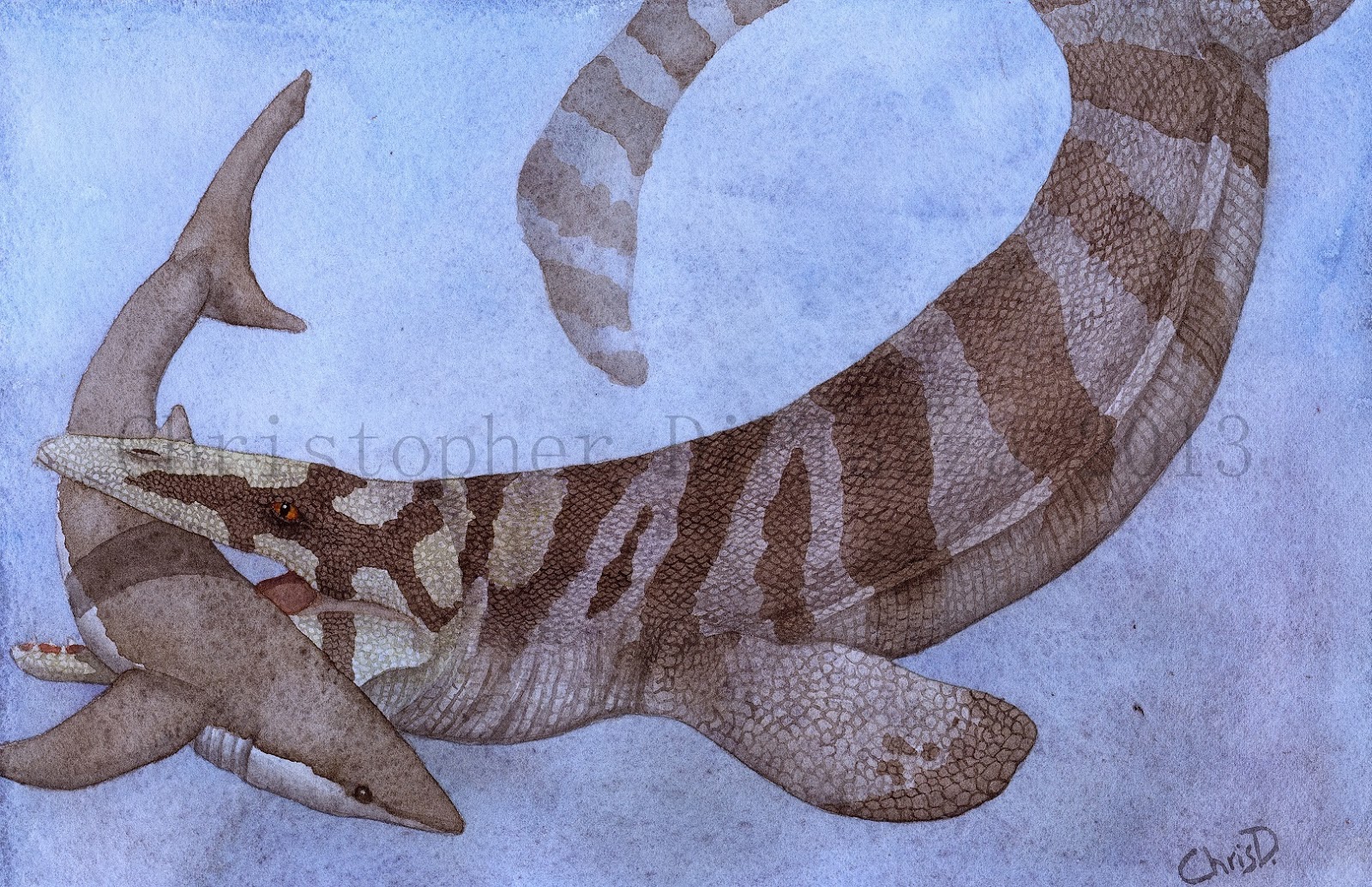 Prehistoric Beast of the Week: Tylosaurus: Prehistoric Animal of the Week