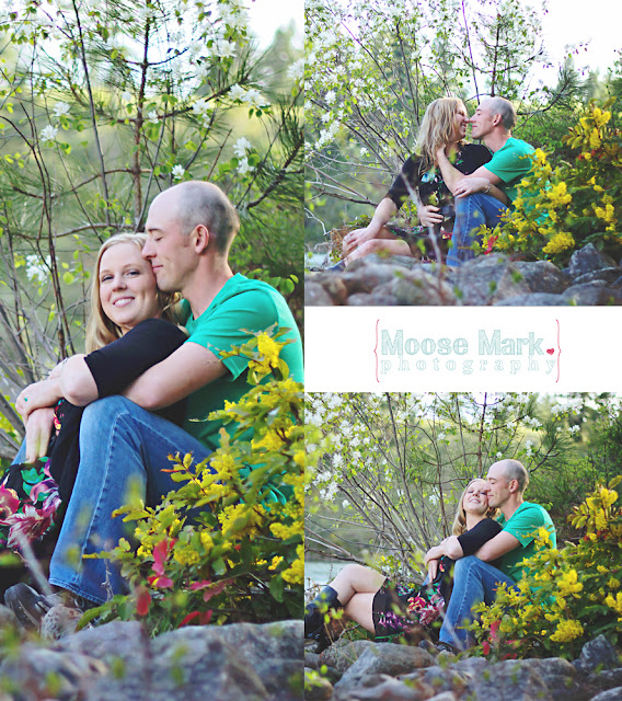 Moose Mark Photography