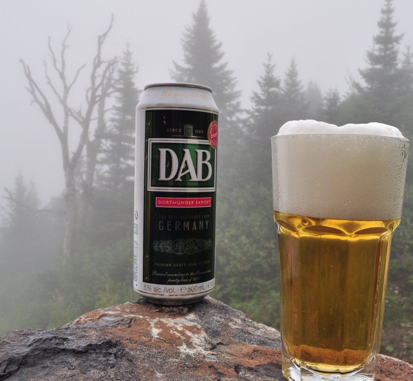 I am thirsty for a beer: A Beer on a Mountain Part 3: DAB