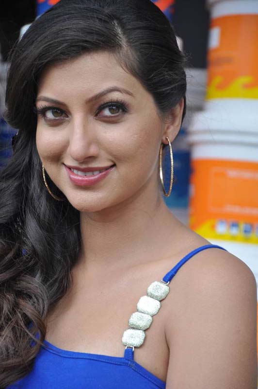 Hamsa Nandini Wiki, Biography, Dob, Age, Height, Weight, Affairs and More