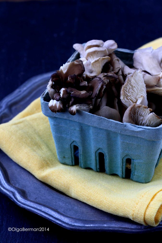 Mango & Tomato: Fancy Mushroom & Kerrygold Blarney Castle Gouda Style Melts