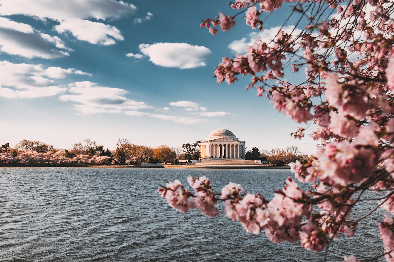 Linda Dee Travels 15 Fun Things To Do In Washington DC This Spring linda-dee-travels-15-fun-things-to-do-in-washington-dc-this-spring
