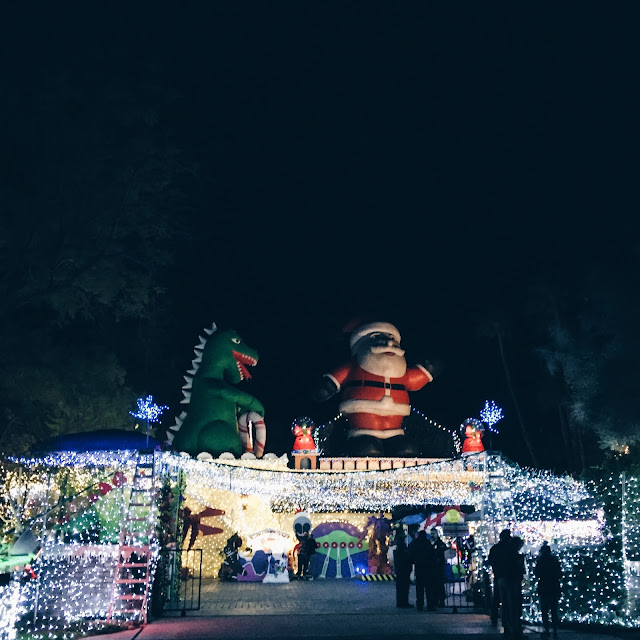 Palm Springs- Robolights | StephC