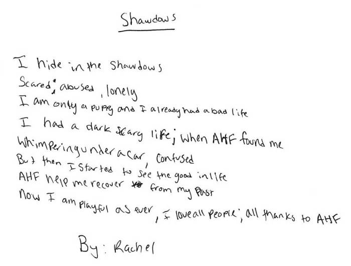 Almost Home Foundation: April is Animal Cruelty Prevention Month