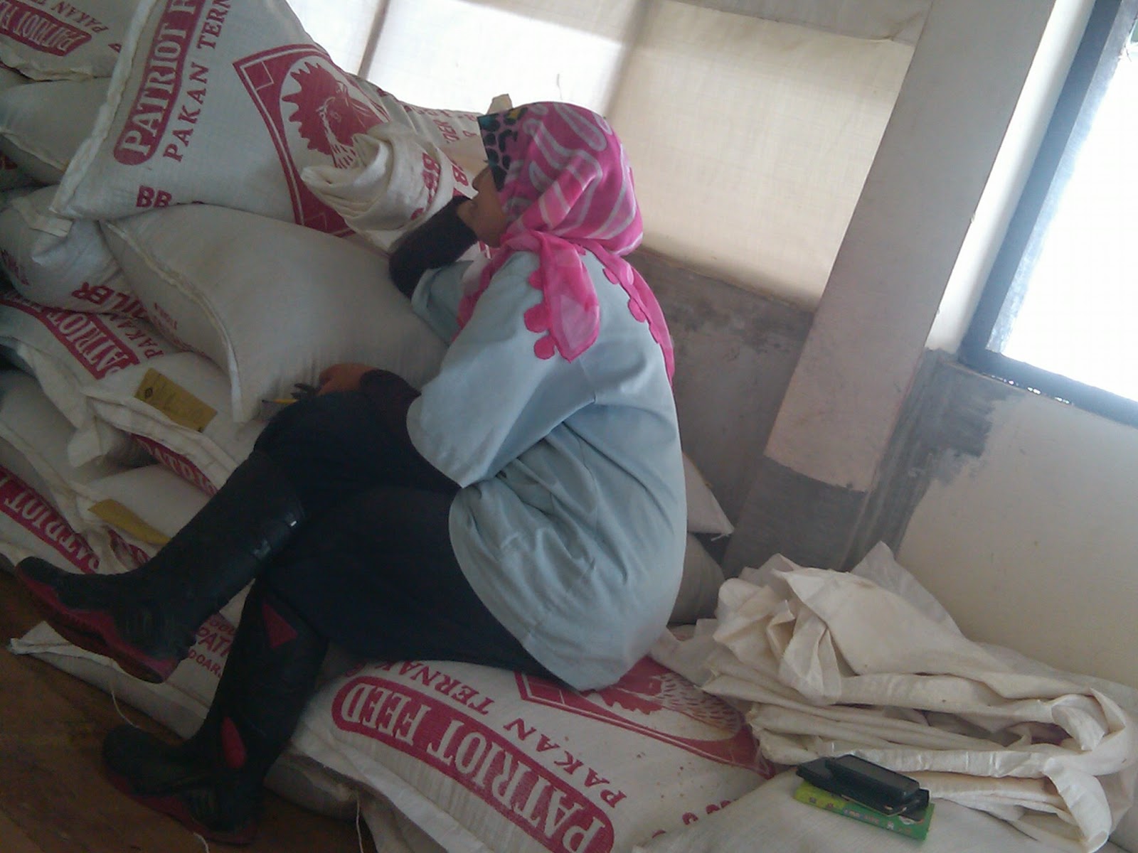 pt panca patriot prima: panca patriot prima