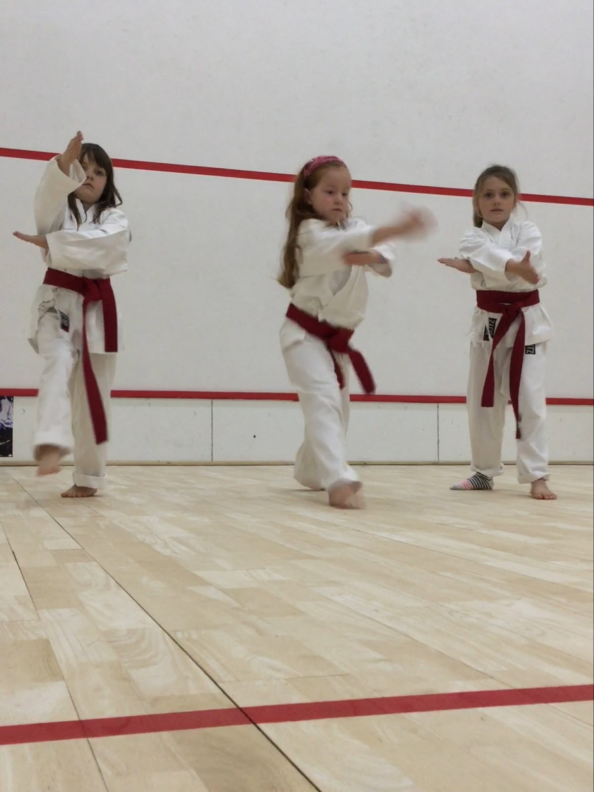 Oh Kami Karate Club: Isla, Orla and Emma training #ohkamikarate # ...