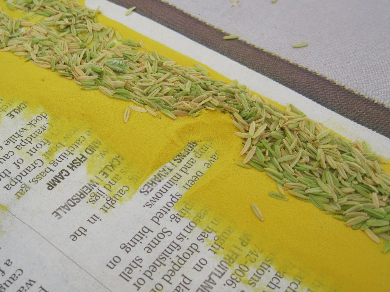 Plant Daddy: Corn Pollen.............