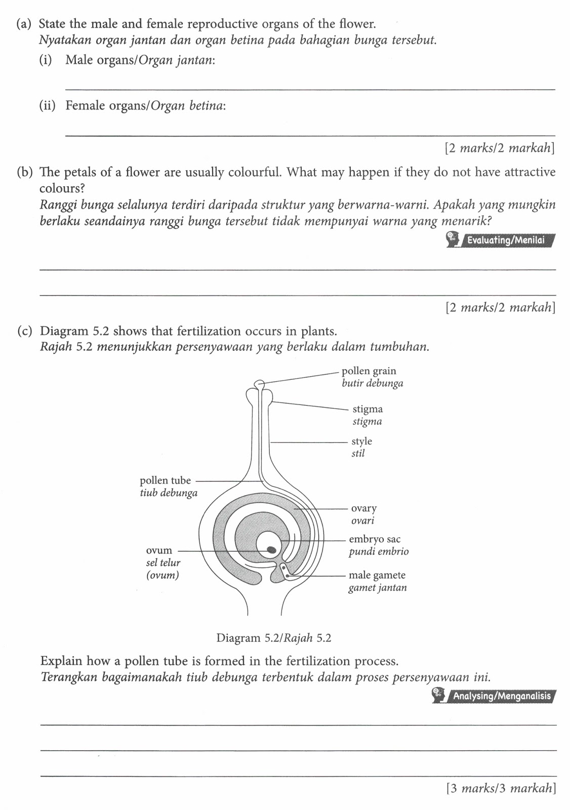 Sains-f3-KBAT Latihan-01a
