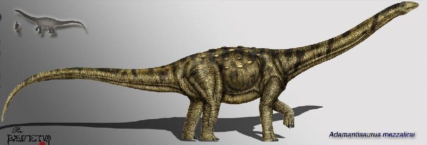 Adamantisaurus ~ BẢN TIN KHỦNG LONG