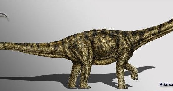 Adamantisaurus ~ BẢN TIN KHỦNG LONG