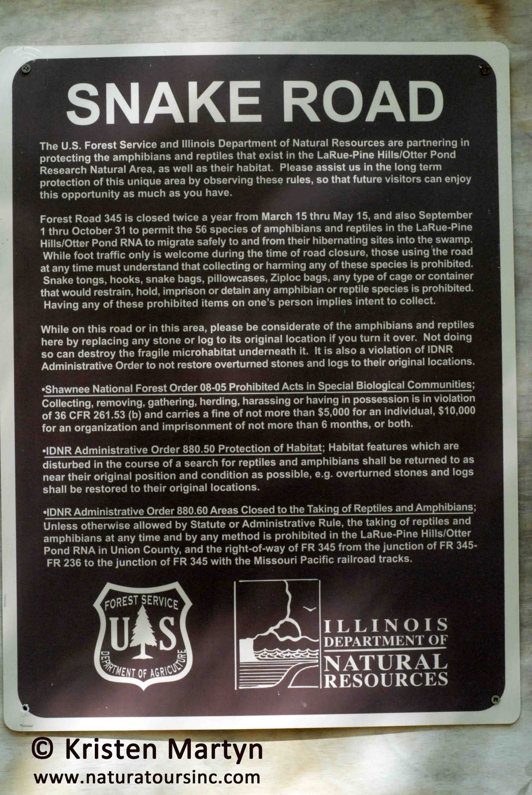 Snake Road, Illinois: Part 2 | Nature Notes Blog