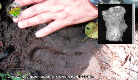 Uhang Pandak: The Indonesian Hobbits | BLOG BRAHMANTO