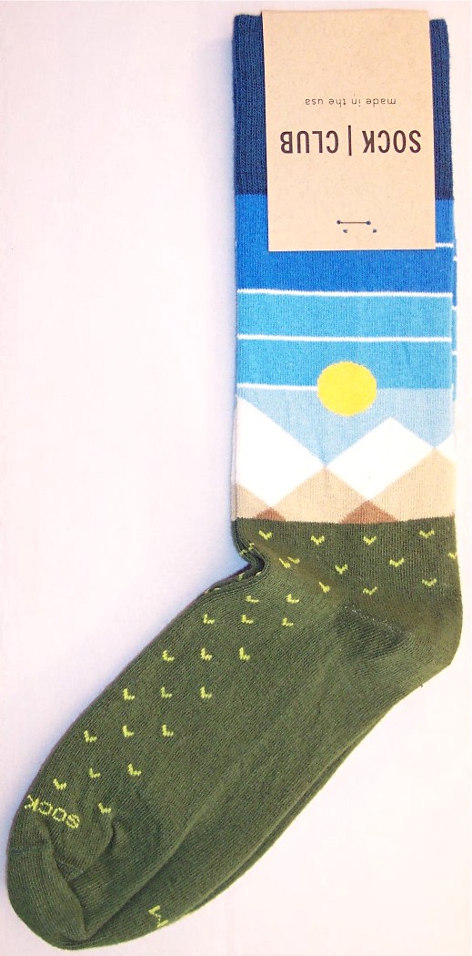 Lone Star Shopper: Sock Club Review, April 2016 + FREE Pair of Socks!