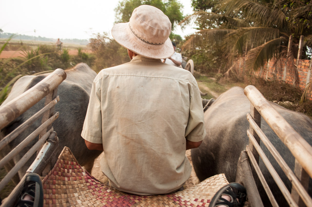 Moe and Irene's RTW blog: How to Ride on an Water Buffalo Cart