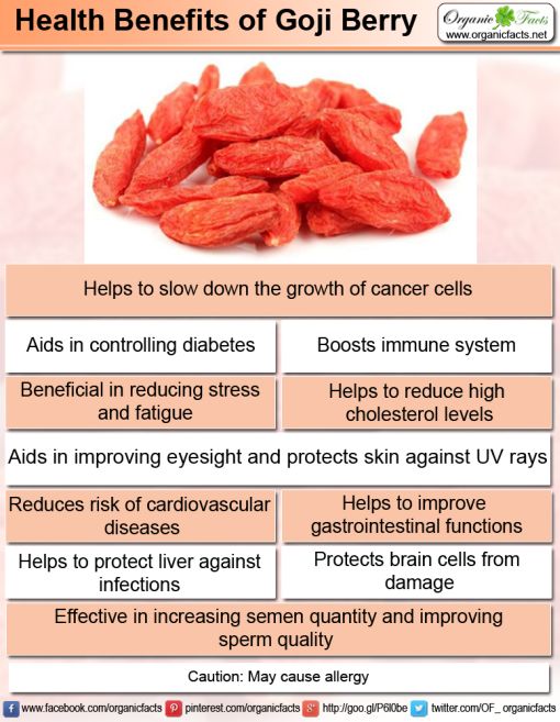 Essentially Free With Maria : The Amazing Wolfberry (Goji Berry)