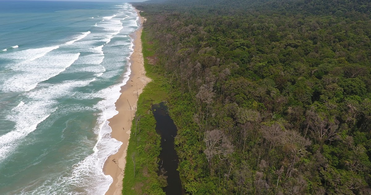 Taman Nasional Siberut, “Permata Hijau” Penuh Keajaiban - Balai Taman ...