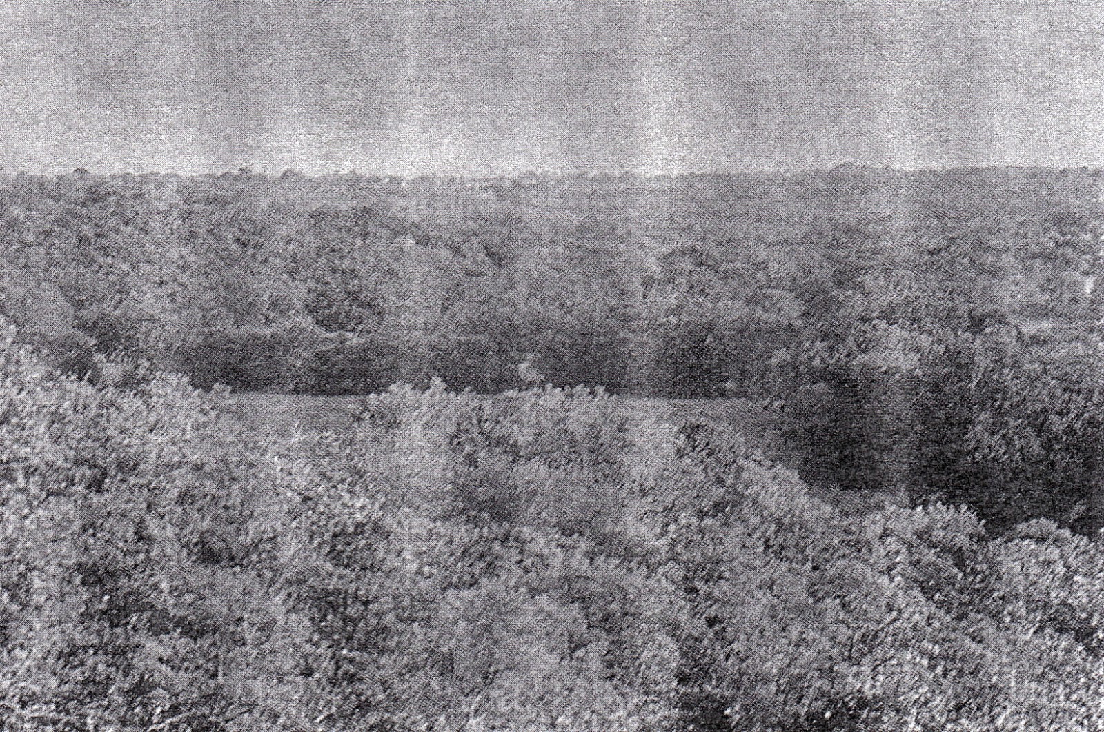 THE FAMILY HISTORY OF BILLY BLAIR: John S. Barnes (Tennessee Barnes ...